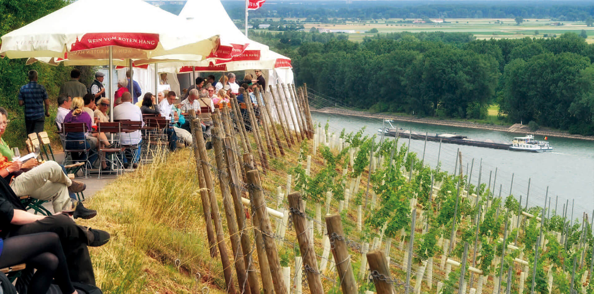 Events • Wein vom Roten Hang e.V • Zwischen Himmel und Rhein
